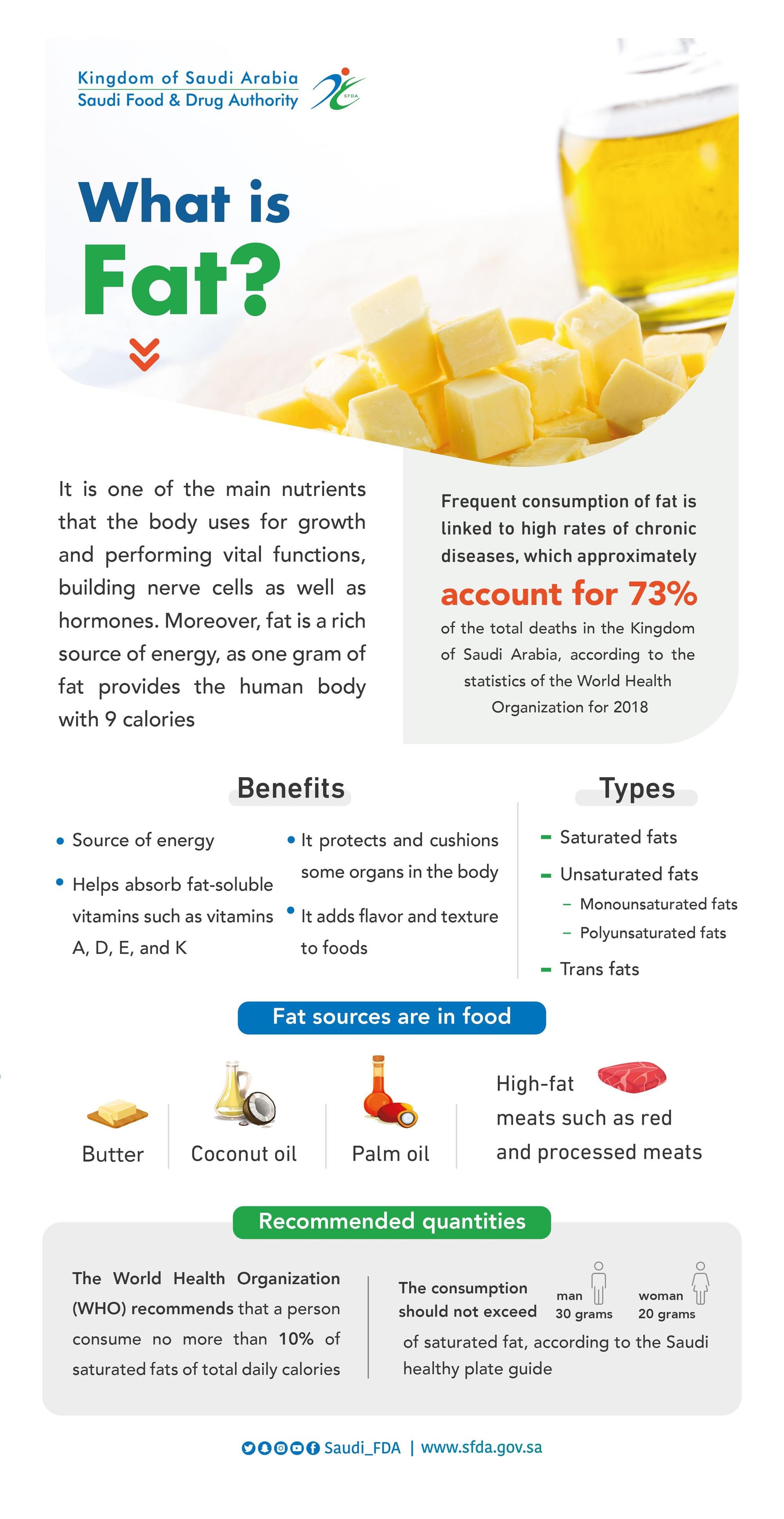 SFDA: Fat is a Source of Energy and Its Abundance is Linked to Chronic ...
