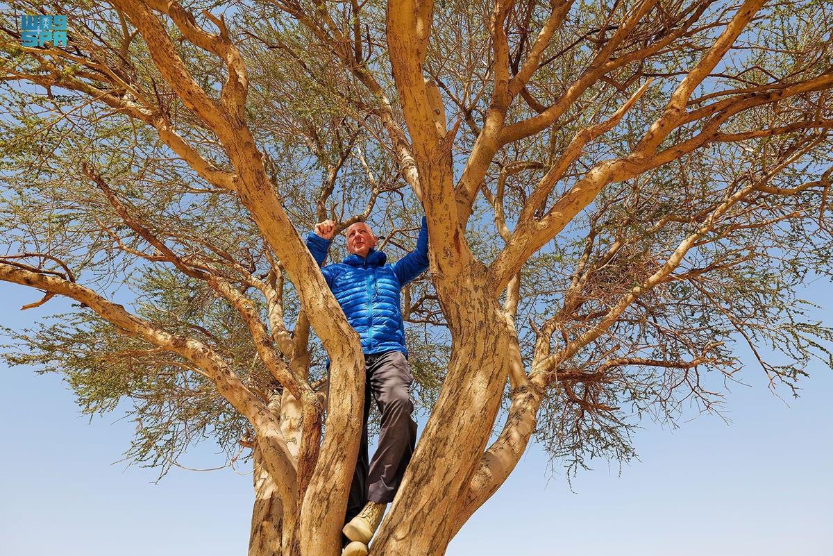 British Explorer: Saudi Arabia is abundant in archaeological and ...