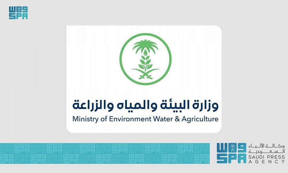 Saudi Arabia Receives Golden Award of Arab Digital Government for 2023