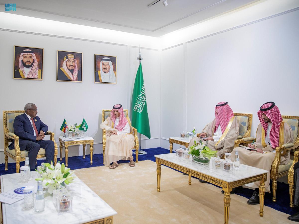 Vice President of National Assembly of Senegal: Saudi Arabia Leads ...