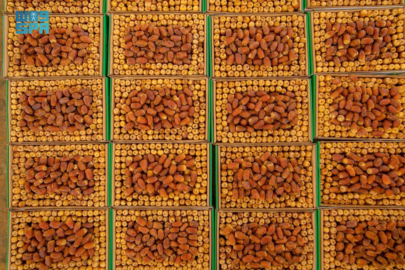 Buraydah Dates Carnival Witnesses Flow of 8,942 Tons of Dates in 21 Days