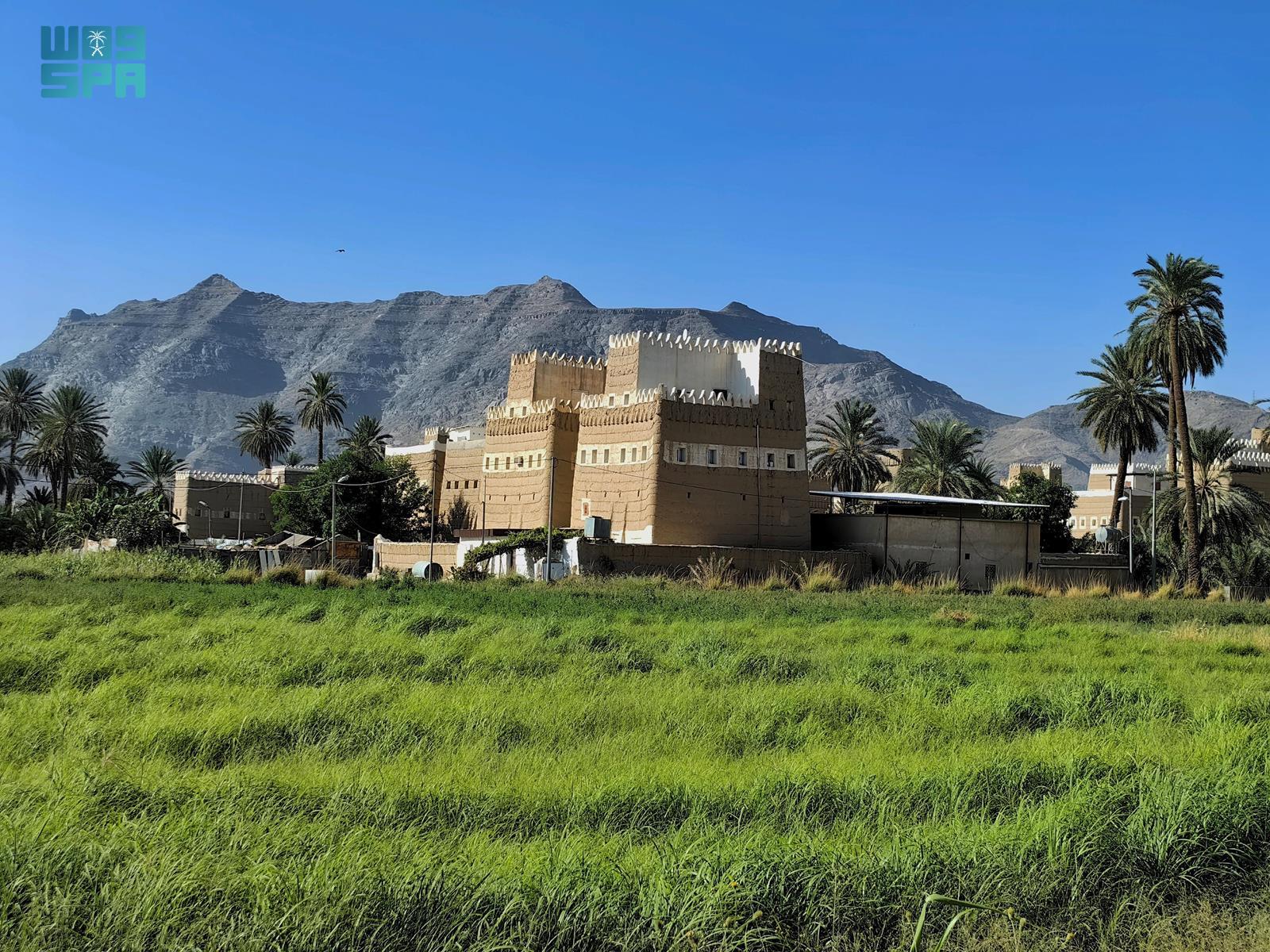 Architectural Heritage and Palm Farms in Najran Form an Esthetic ...
