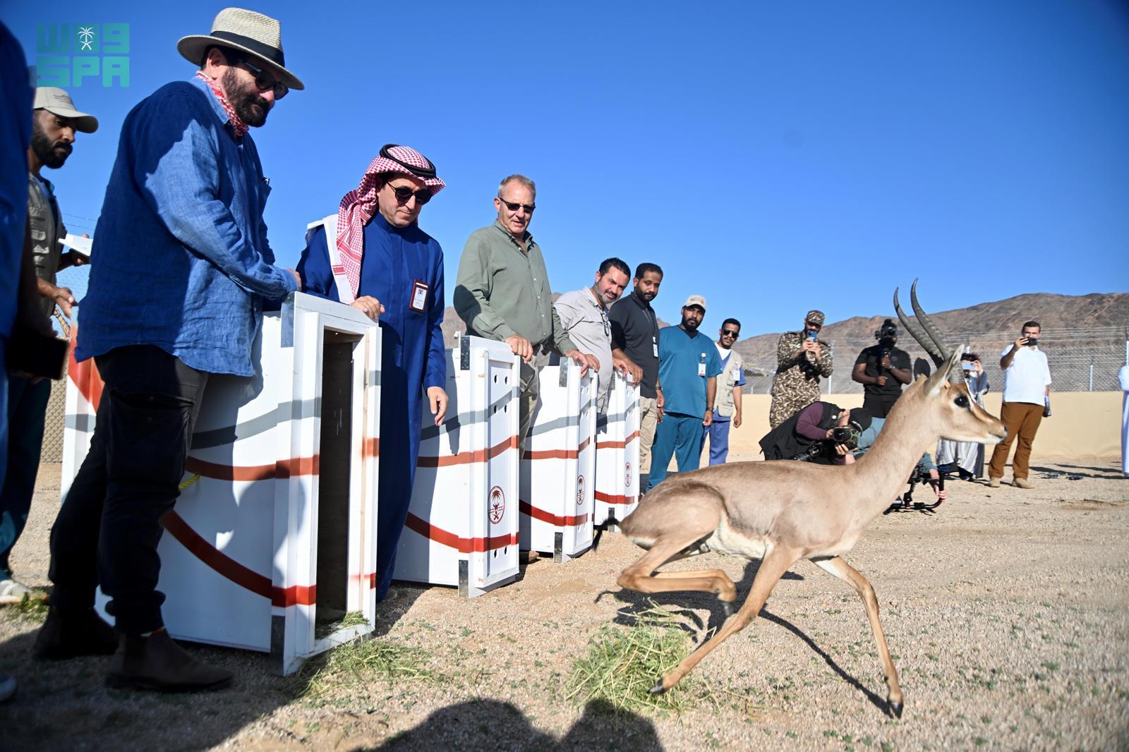 National Center For Wildlife Releases 85 Wild Animals At Prince