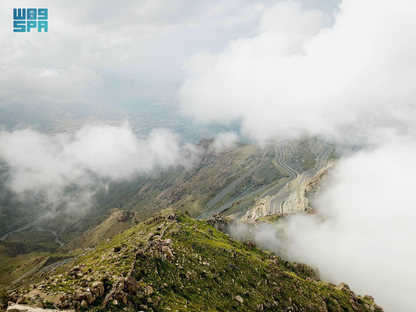 Al-Hada Resort Town Fosters Economic Growth, Epitomizes the Natural ...