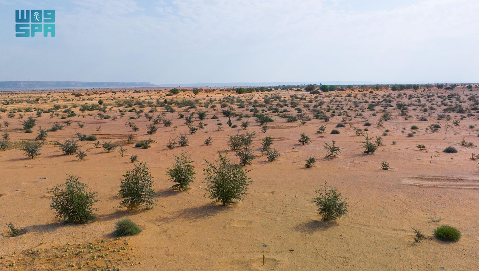 King Abdulaziz Royal Reserve Development Authority Makes Significant ...