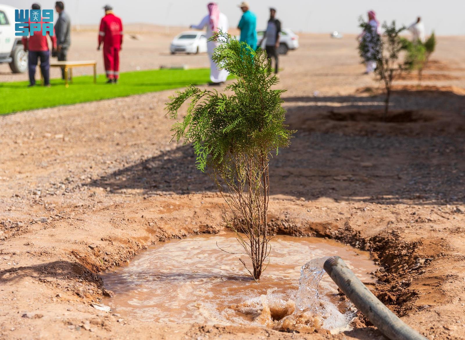 National Water Company Plants One Million Trees in Madinah Region