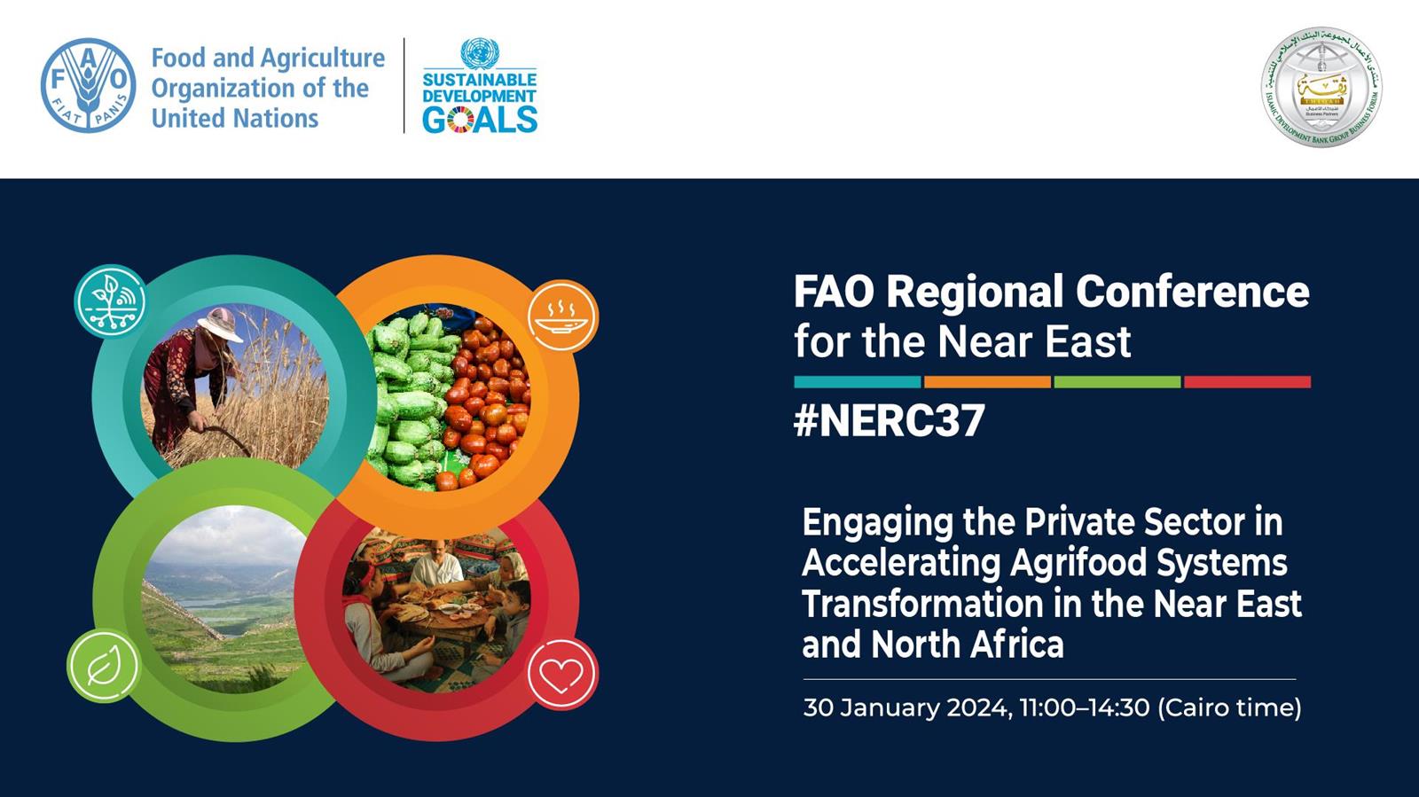 FAO and Key Private Sector Players Outline Roadmap to Accelerate ...