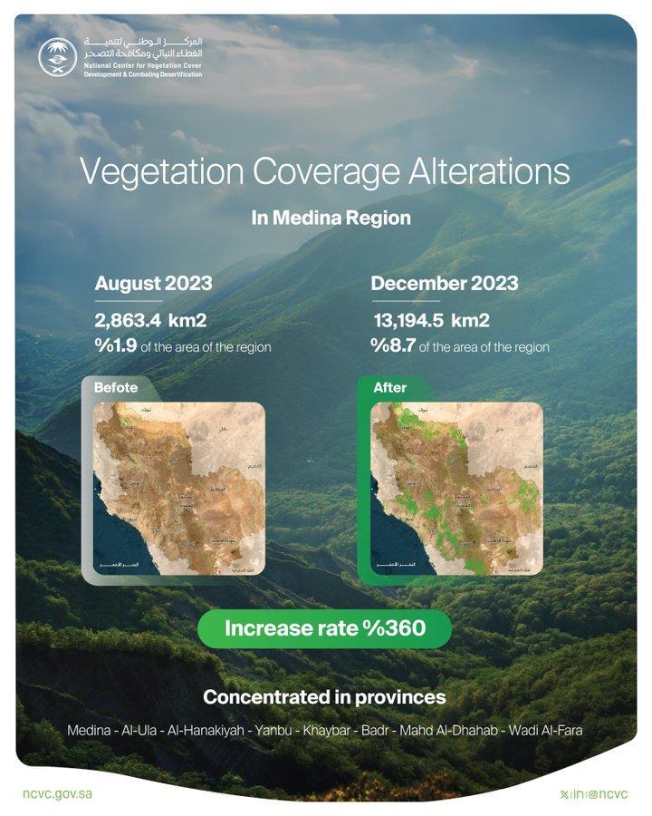 NCVC: Vegetation Coverage in Madinah Increases by 360% over the Past 5 ...