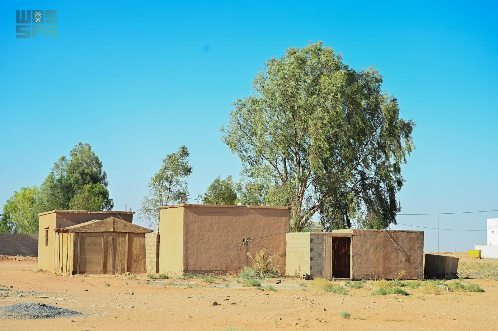 From Rest Area for Travellers and Bird Watchers' Favorite, Hazem Al ...