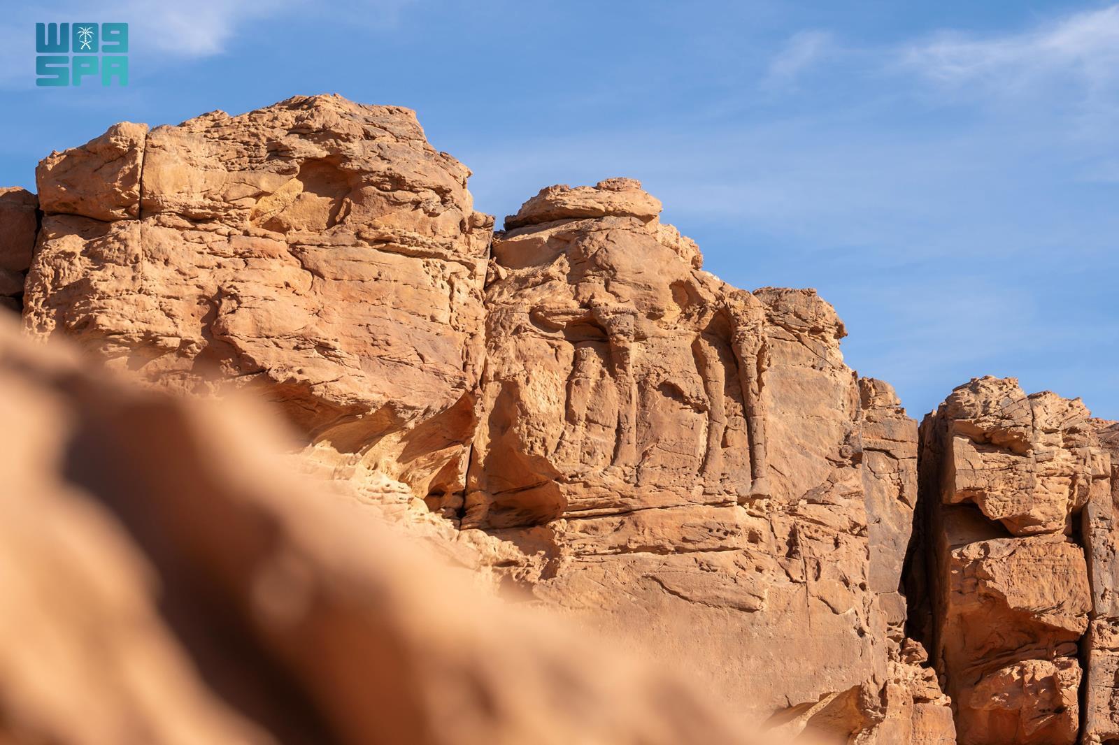 Saudi Arabia Celebrates its Rich Camel Heritage and Archaeological ...