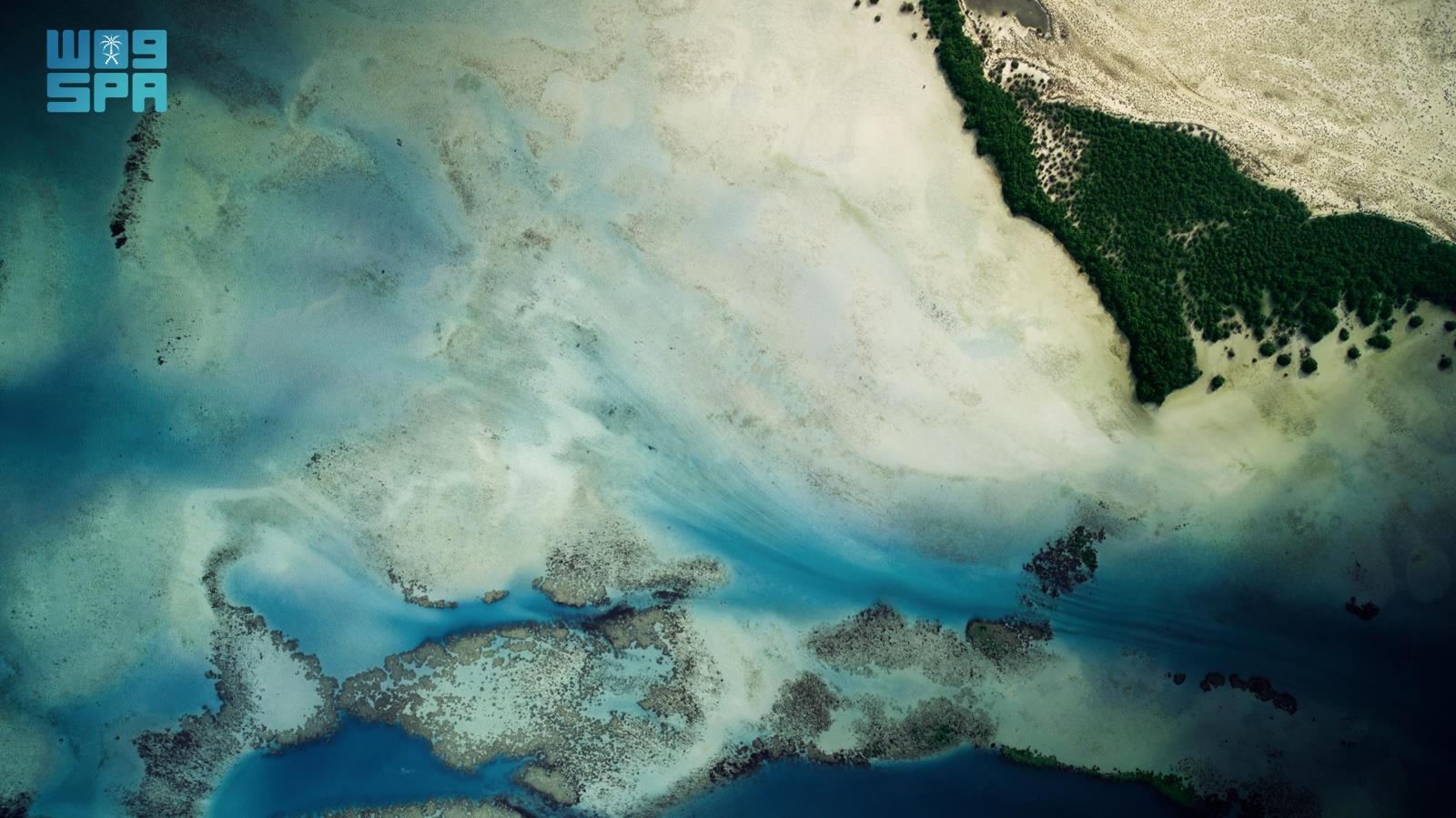 Ministry of Media Launches Documentary "Horizon" on Netflix