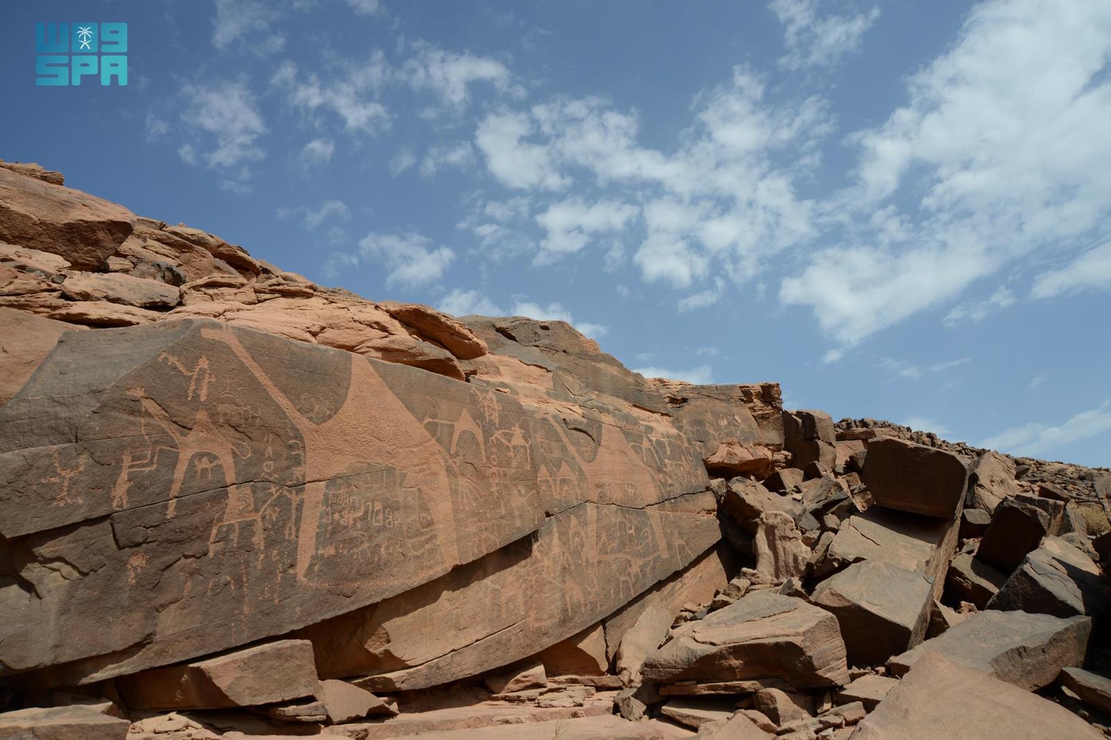 Hail Ancient Camel Connection Celebrated in the Year of the Camel