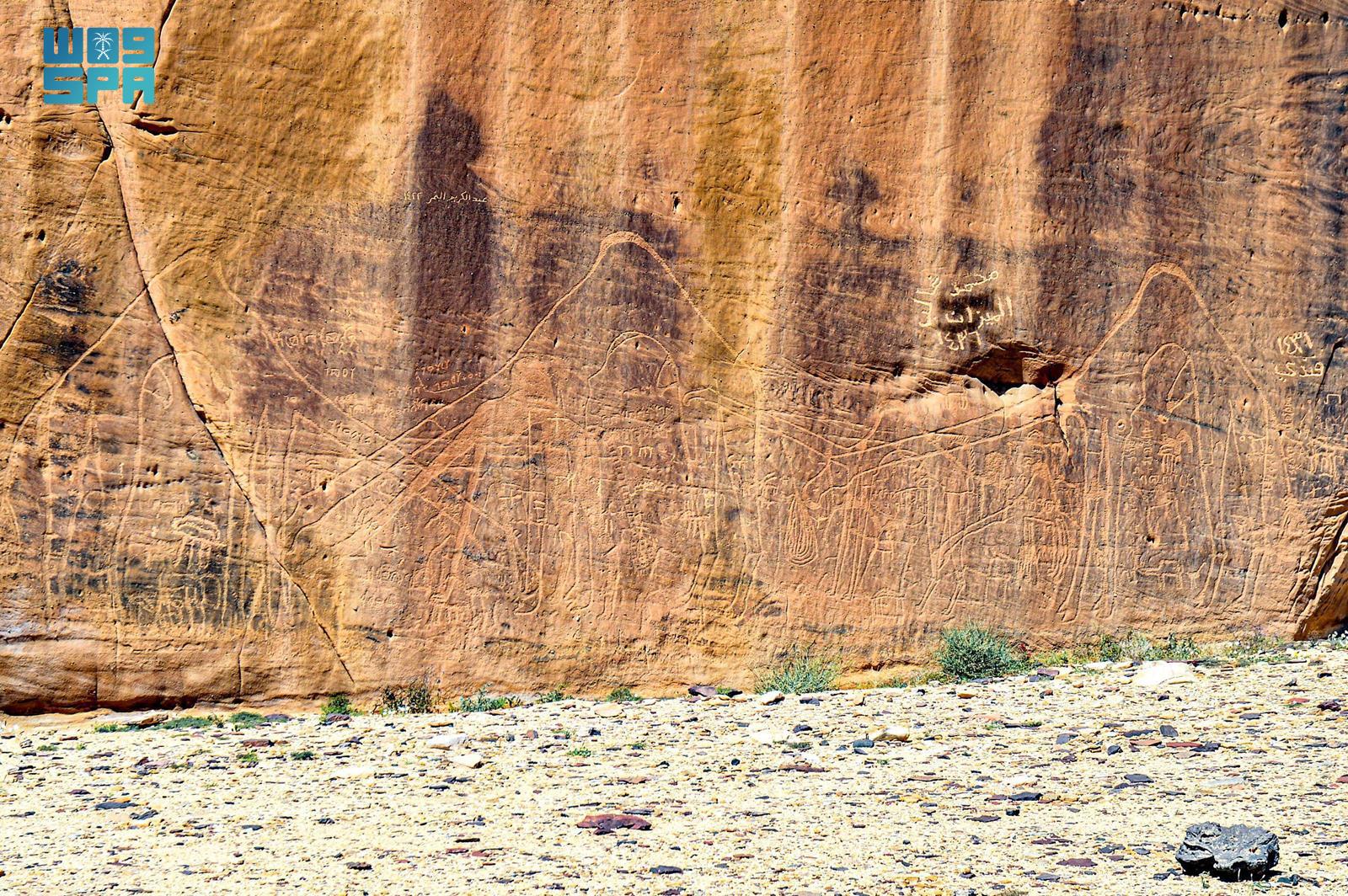 Hail Ancient Camel Connection Celebrated in the Year of the Camel