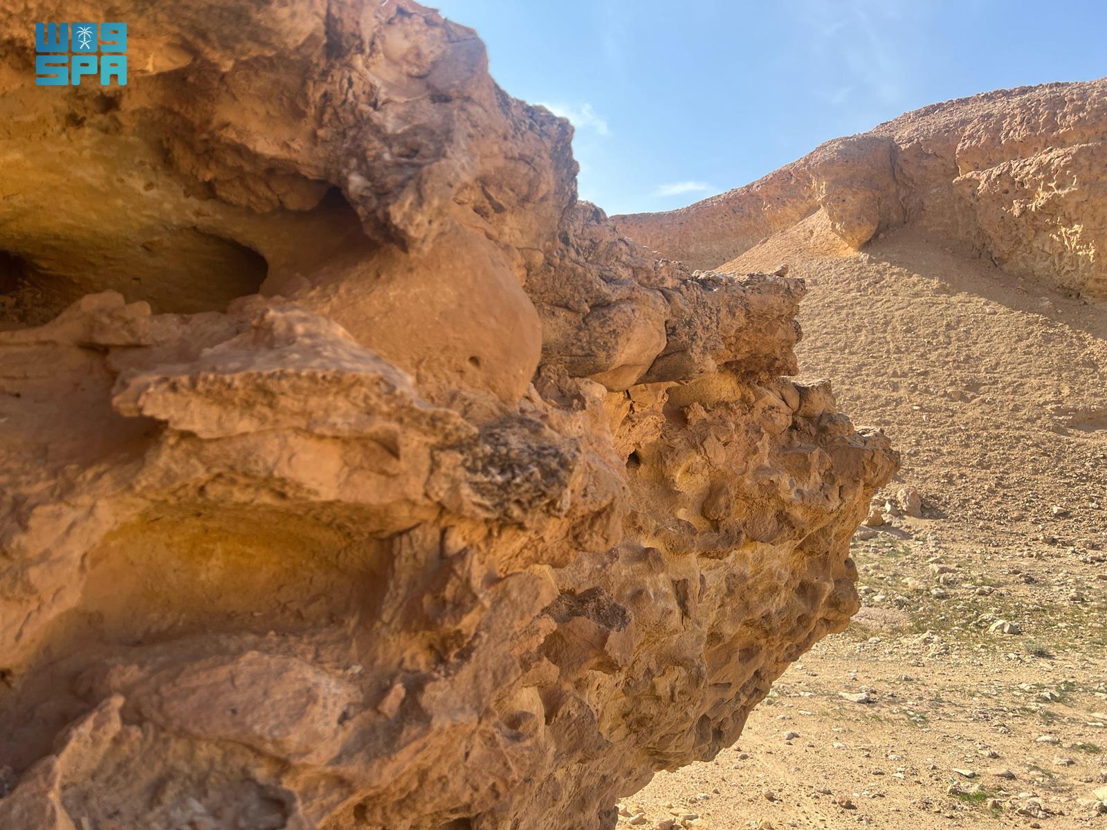 Ayn Al-Dhi'bah, a Historical Site and a Haven for Wolves in Laynah ...