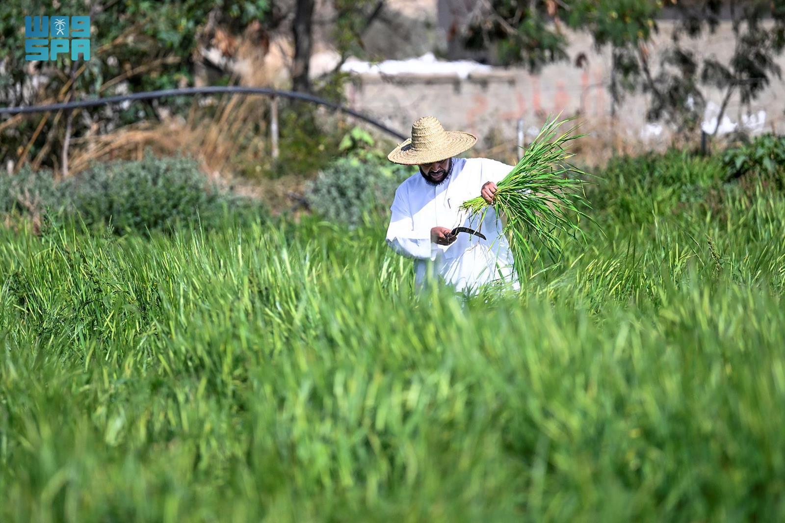 Ramadan in Saudi Arabia: A Celebration of Community and Tradition