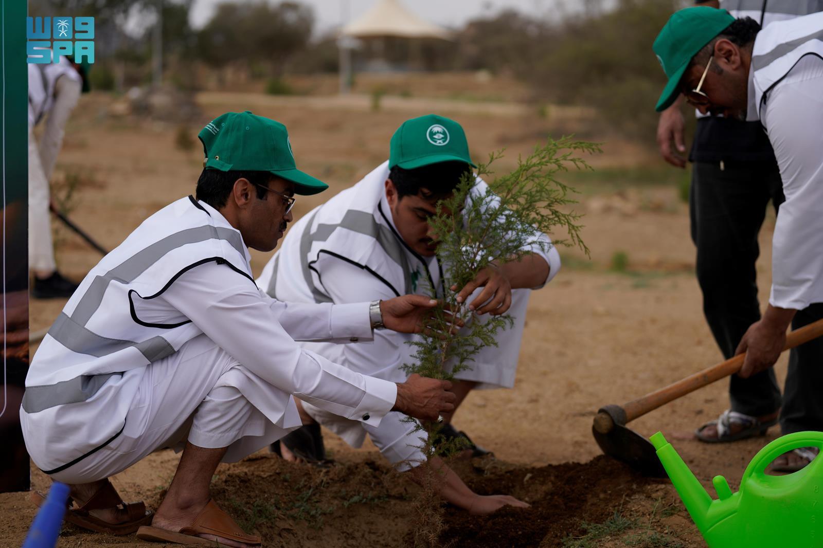 Celebrating Saudi Green Initiative Day, Bringing the Dream of Growing ...