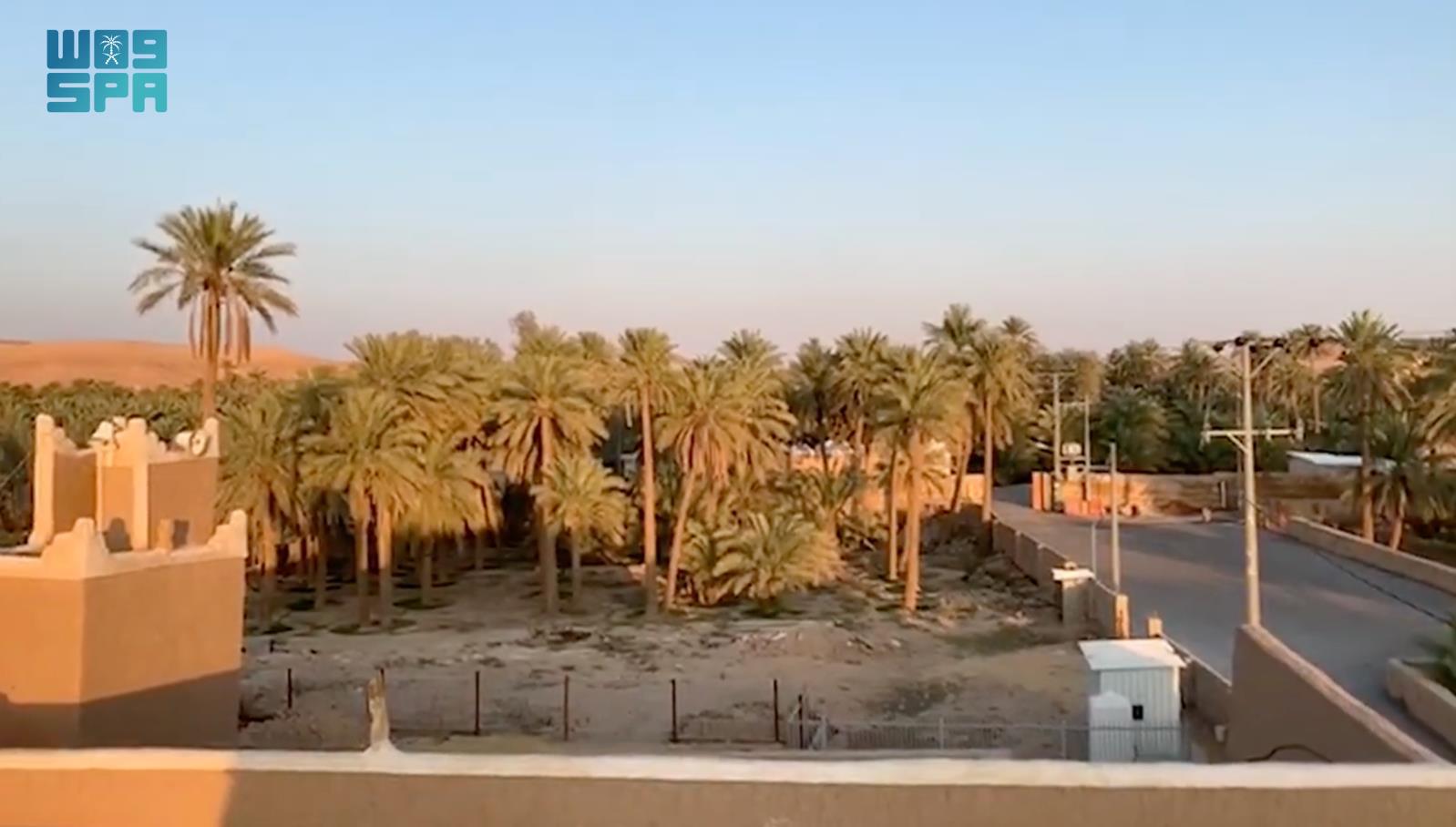 Unveiling Sudoos: A Historical Oasis in Saudi Arabia's Heart