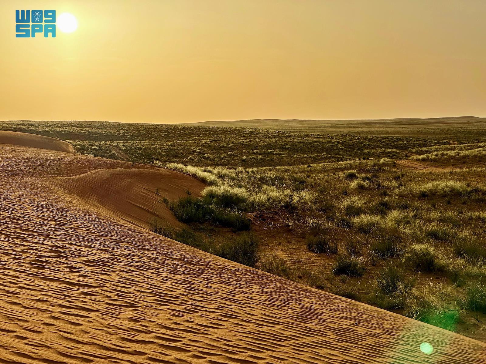 Revitalized Protection of Vegetation Cover Leads to Surge in Plant and ...