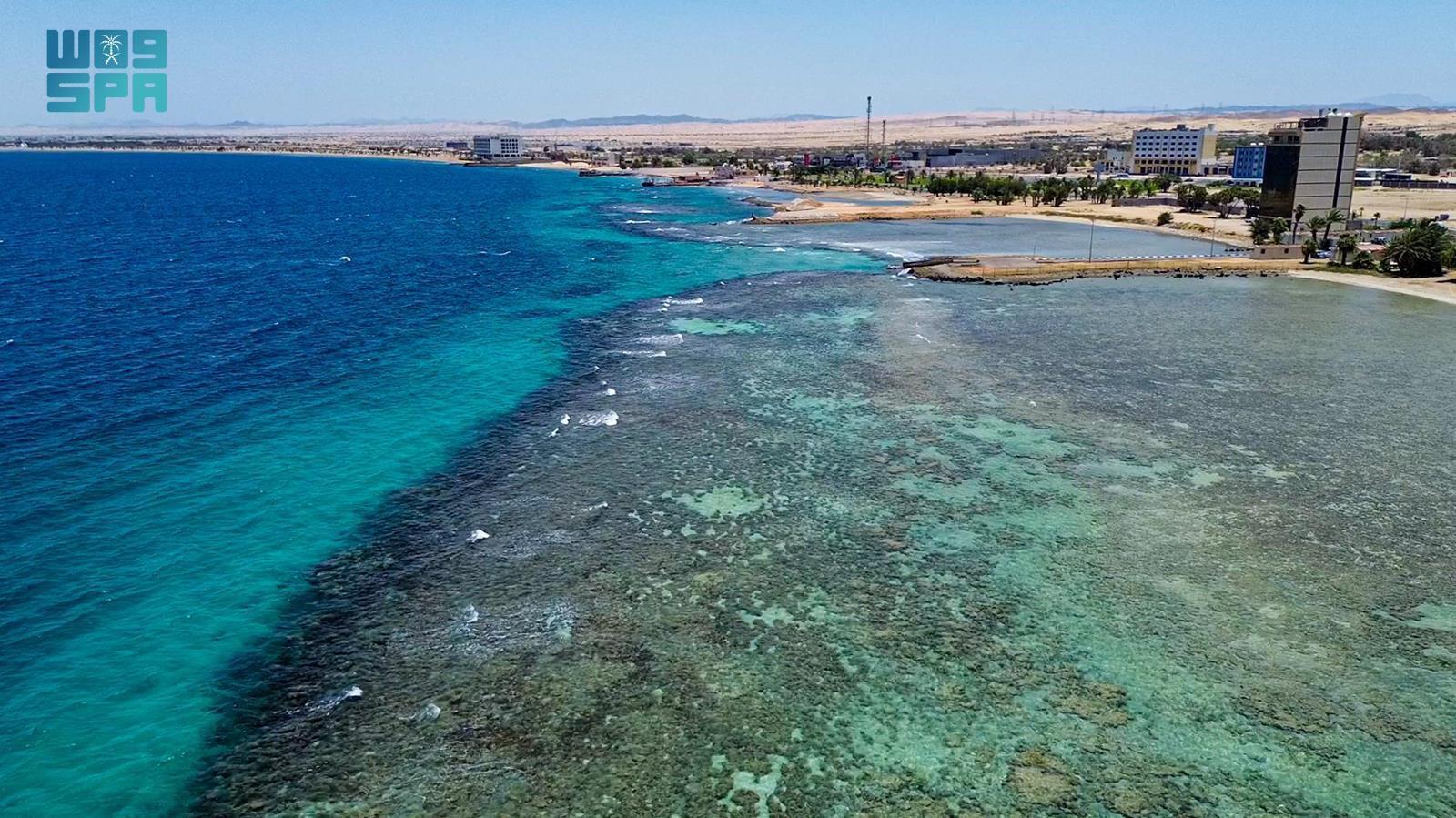 Umluj: A Gem on the Red Sea Coast