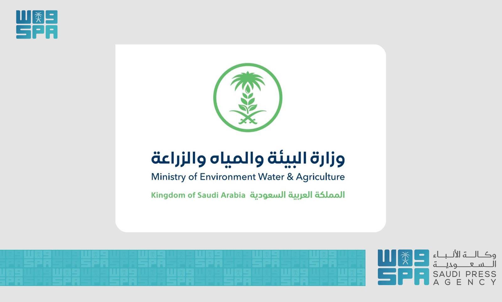 Saudi Arabia Leads the Way on World Environment Day