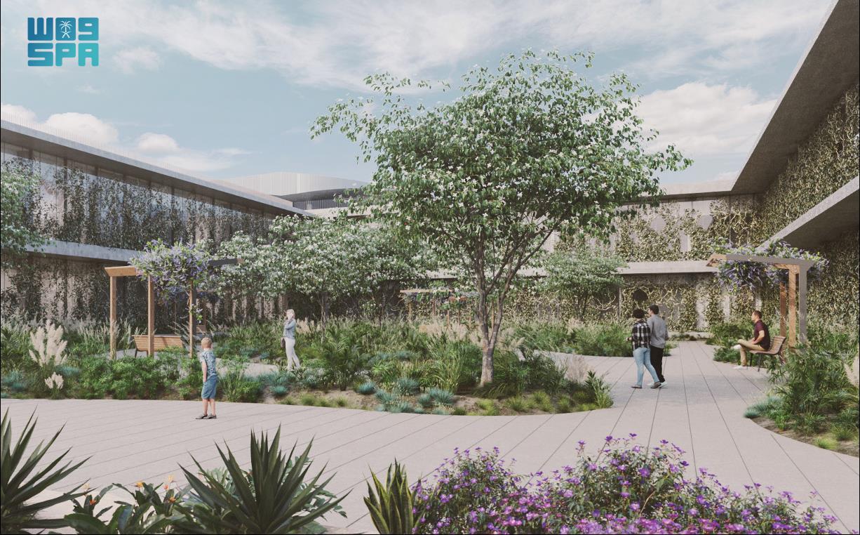 Turtle Bay Hospital Project Shows Significant Headway, Red Sea Global ...