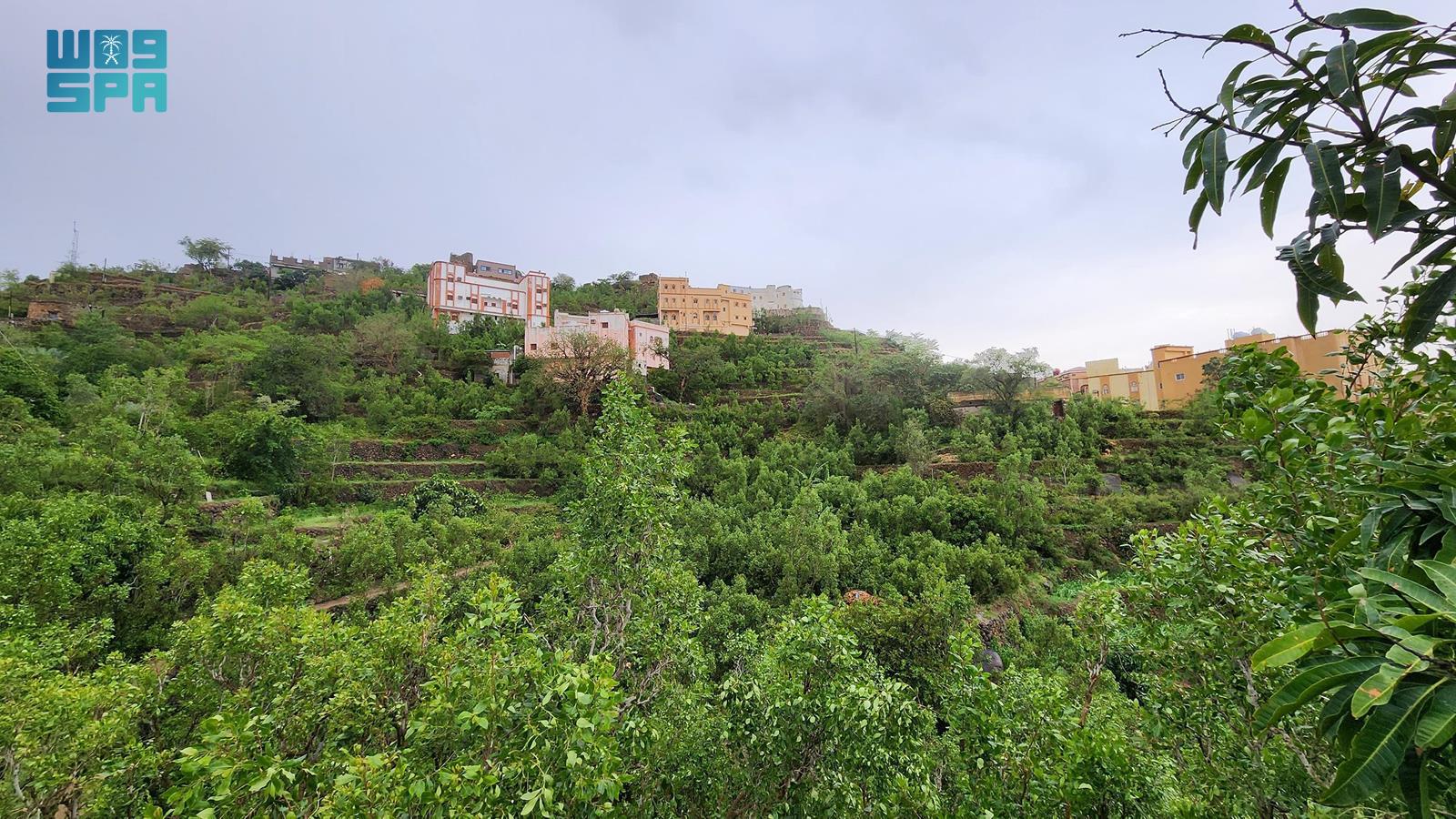 Fayfa Mountains .. A Scenic Delight at 2000 Meters