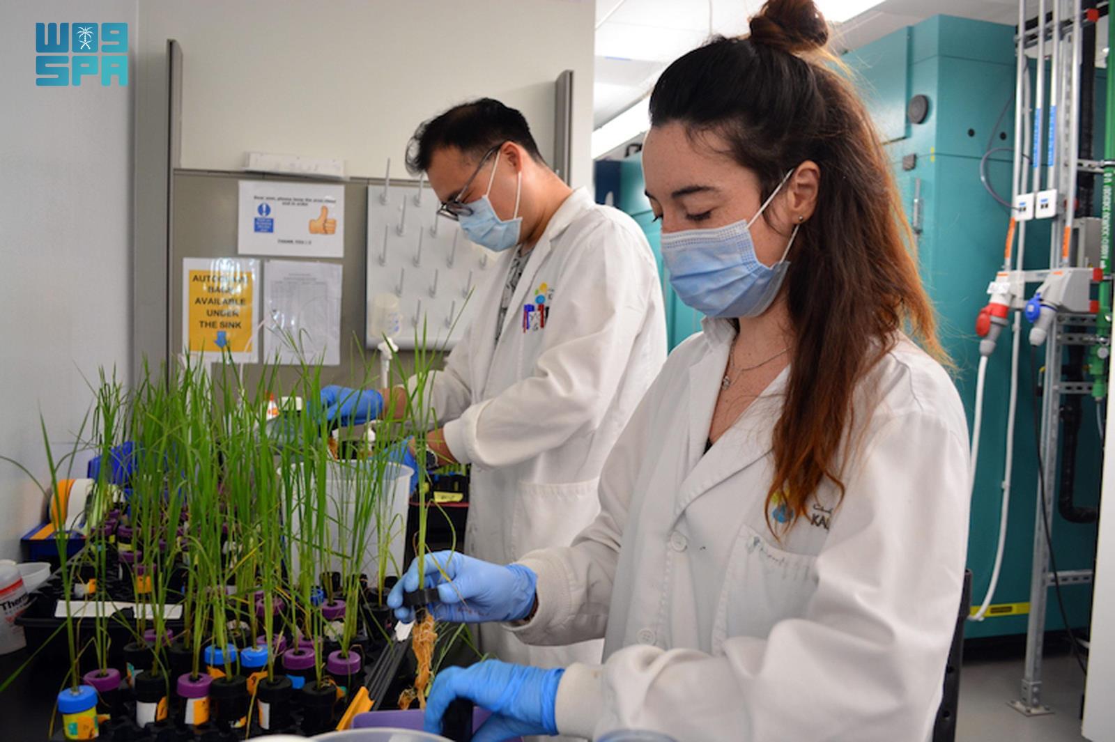 KAUST Enhances its Research Capabilities by Innovating Small Seed ...