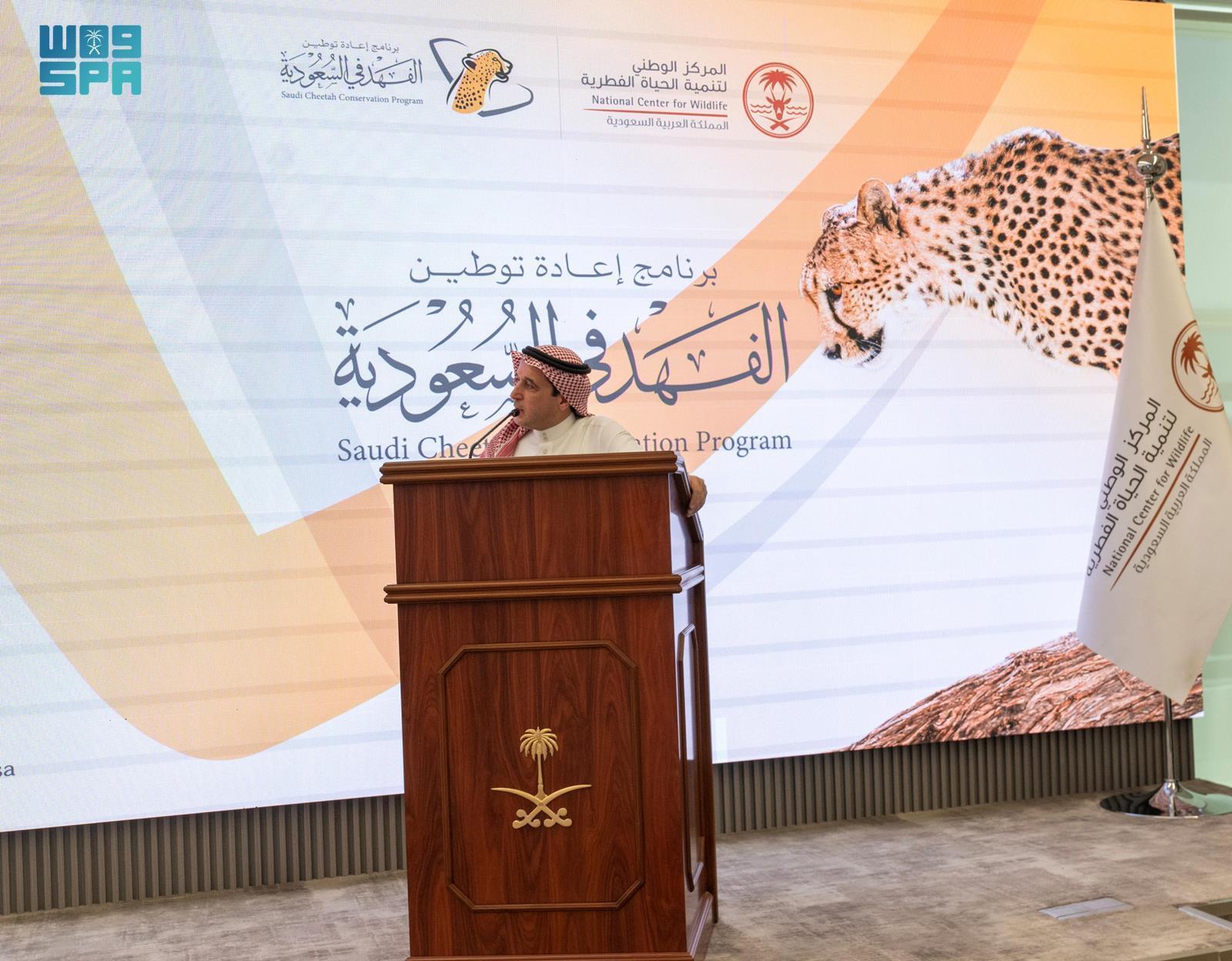 Saudi Arabia Celebrates Birth of Four Cheetah Cubs, Unveils Ambitious ...