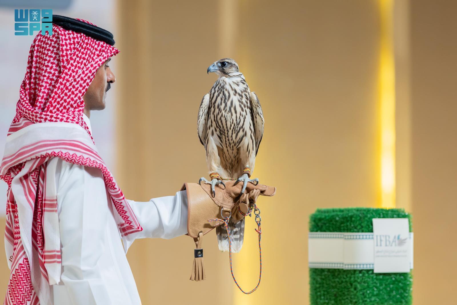 Two Falcons Fetch Record Price at International Falcon Breeders Auction