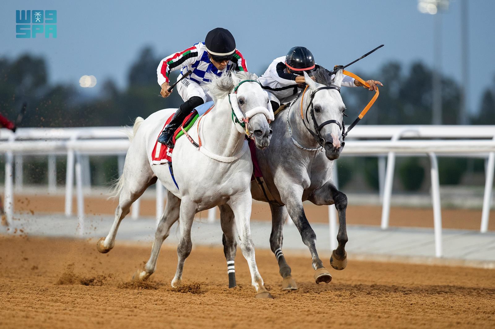 Sixth Week of Horse Racing at Taif's King Khalid Racecourse Witnesses ...