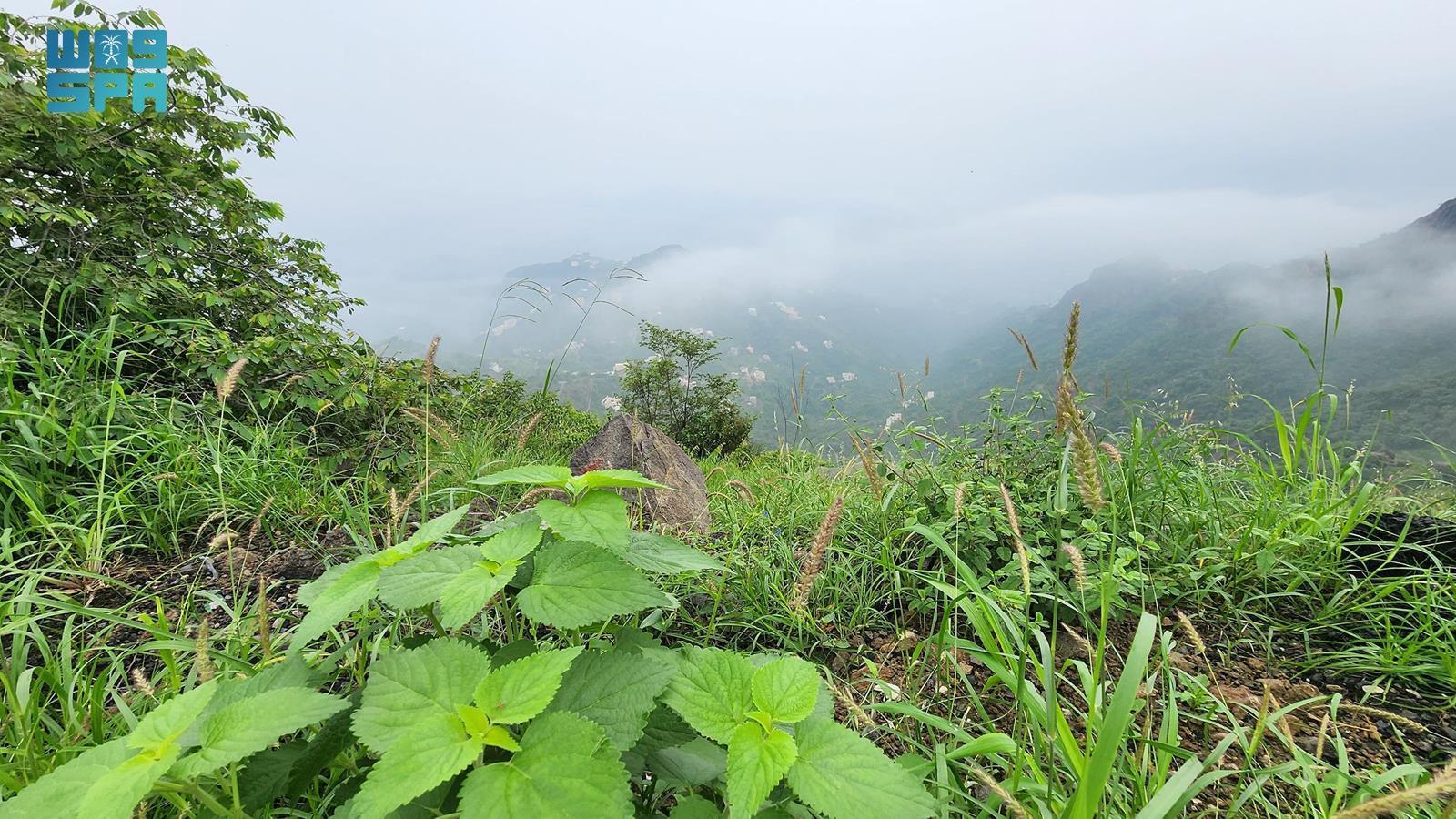 Fayfa Mountains Attract Hikers and Visitors