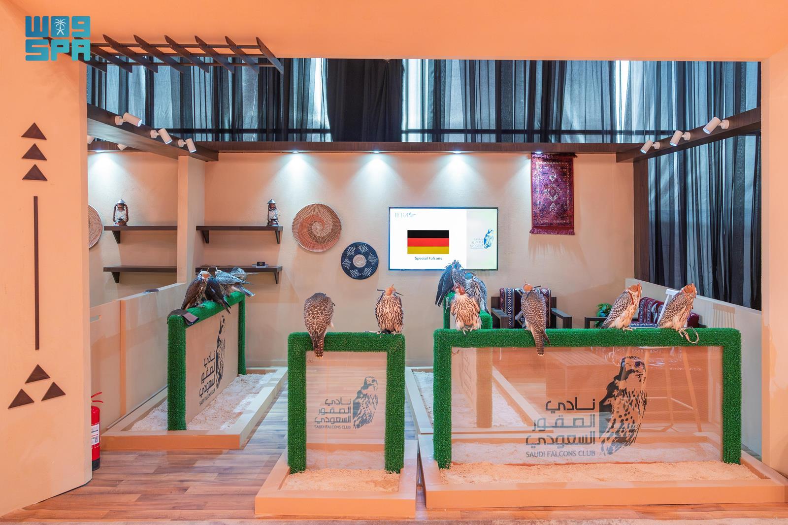 Driven by High Sales, German 'Special Falcons' Brings More Falcons to ...