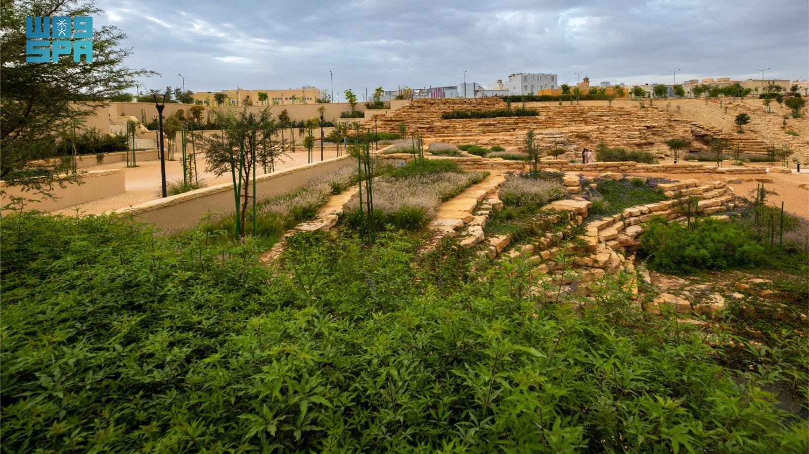 Green Riyadh Program Unveils the Opening of Ghudhwana: A Transformed Tributary of Wadi Hanifa ...