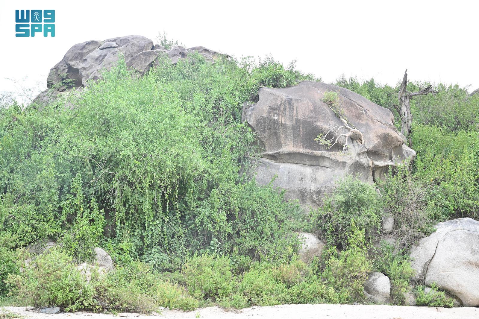 Explore Harub Governorate: Nature Lover's Paradise, Adventure Haven ...