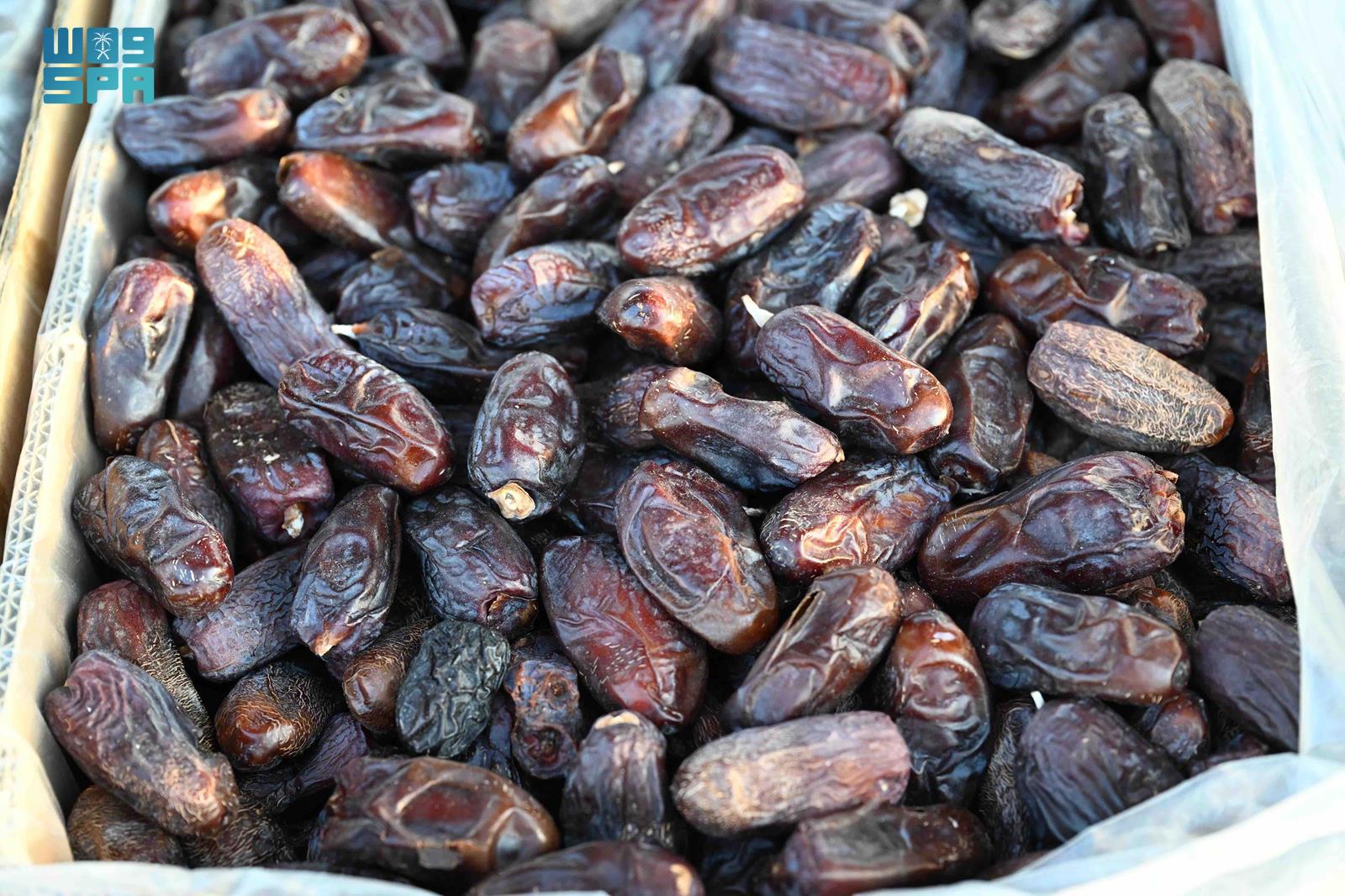 Anbara of Madinah, A Luxurious Date Delight