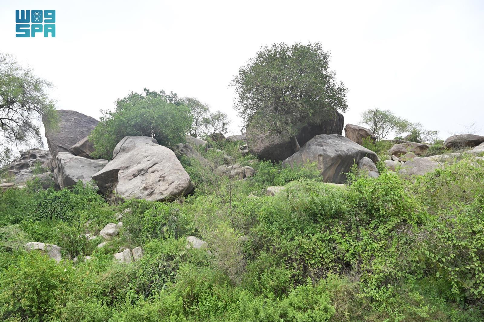 Explore Harub Governorate: Nature Lover's Paradise, Adventure Haven ...
