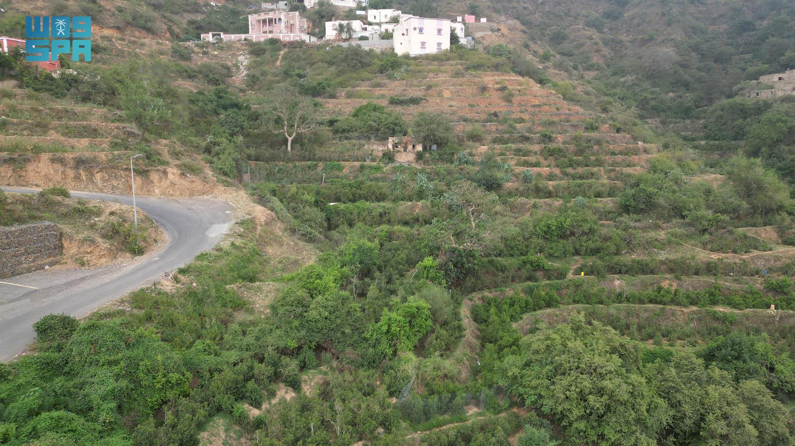 Explore Harub Governorate: Nature Lover's Paradise, Adventure Haven ...
