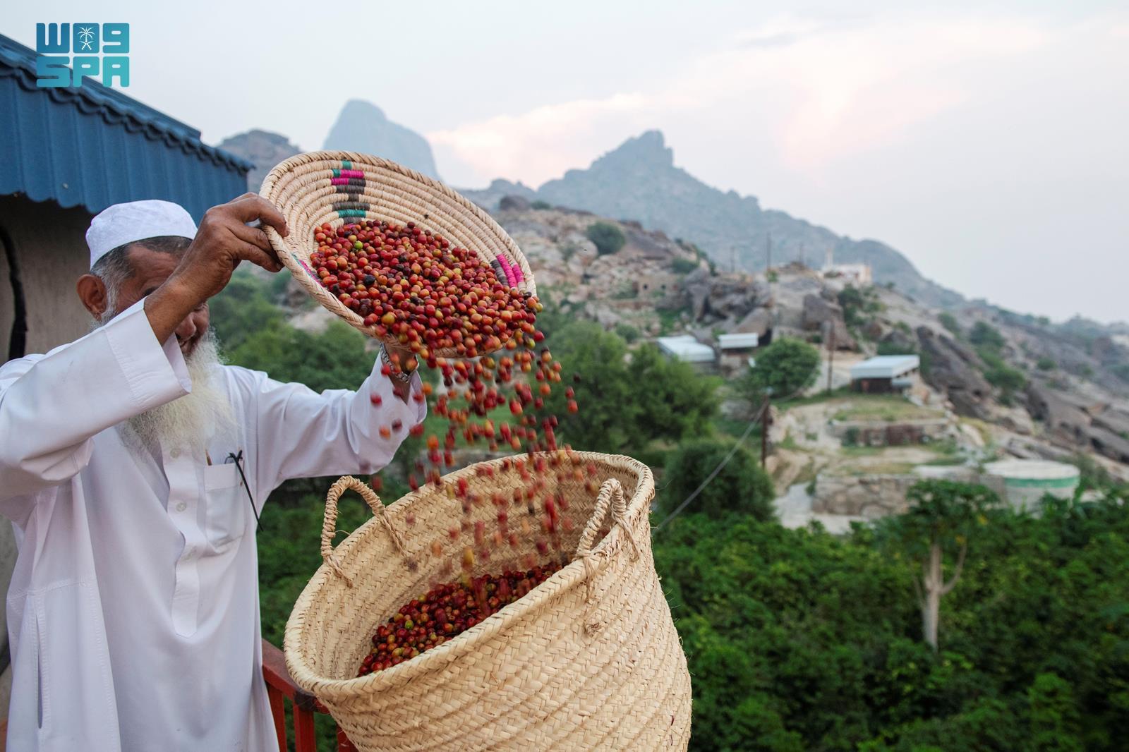 Saudi Arabia Marks International Coffee Day with Activities ...