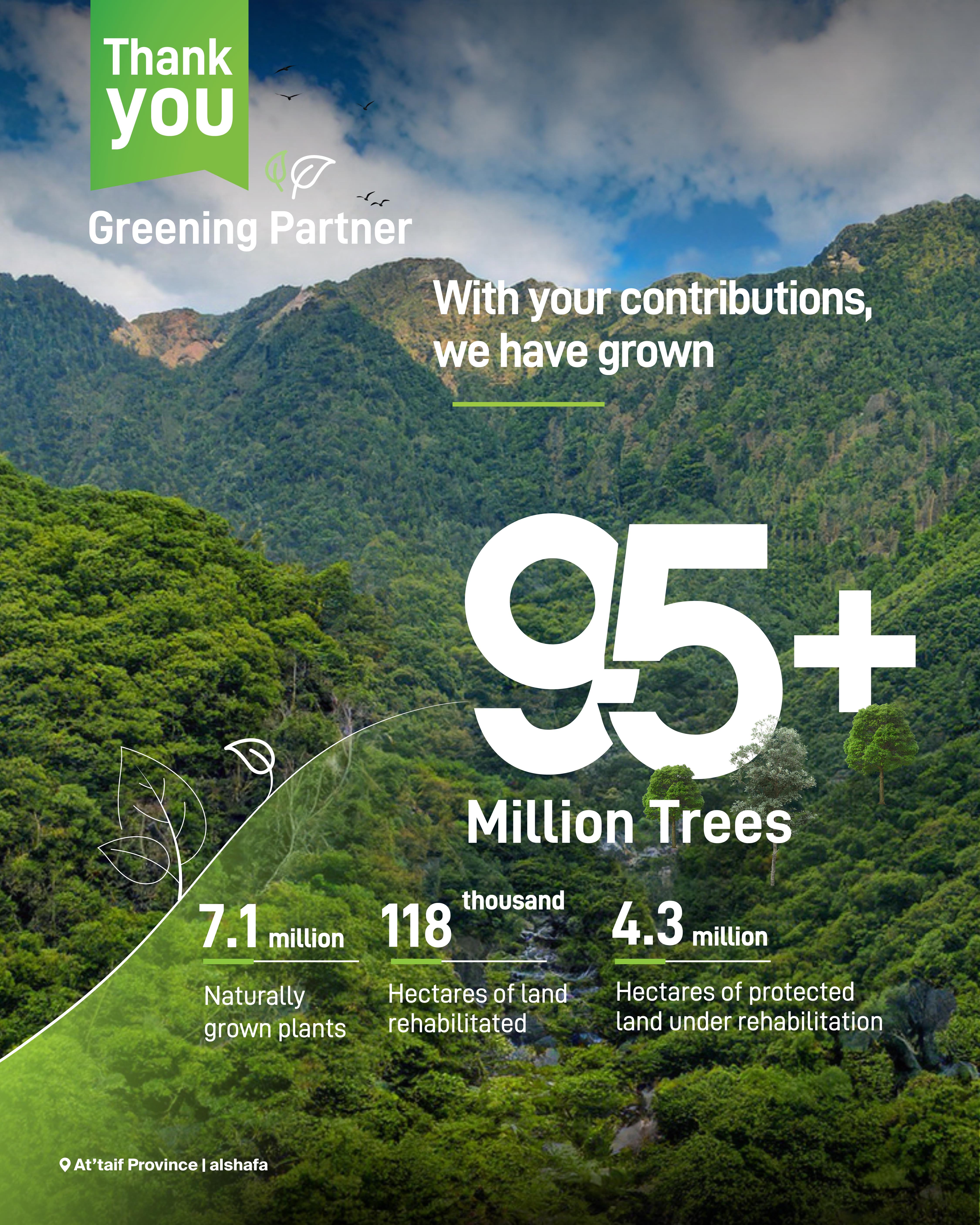 NCVC: Over 95 Million Trees Planted Across the Kingdom Since the Launch ...