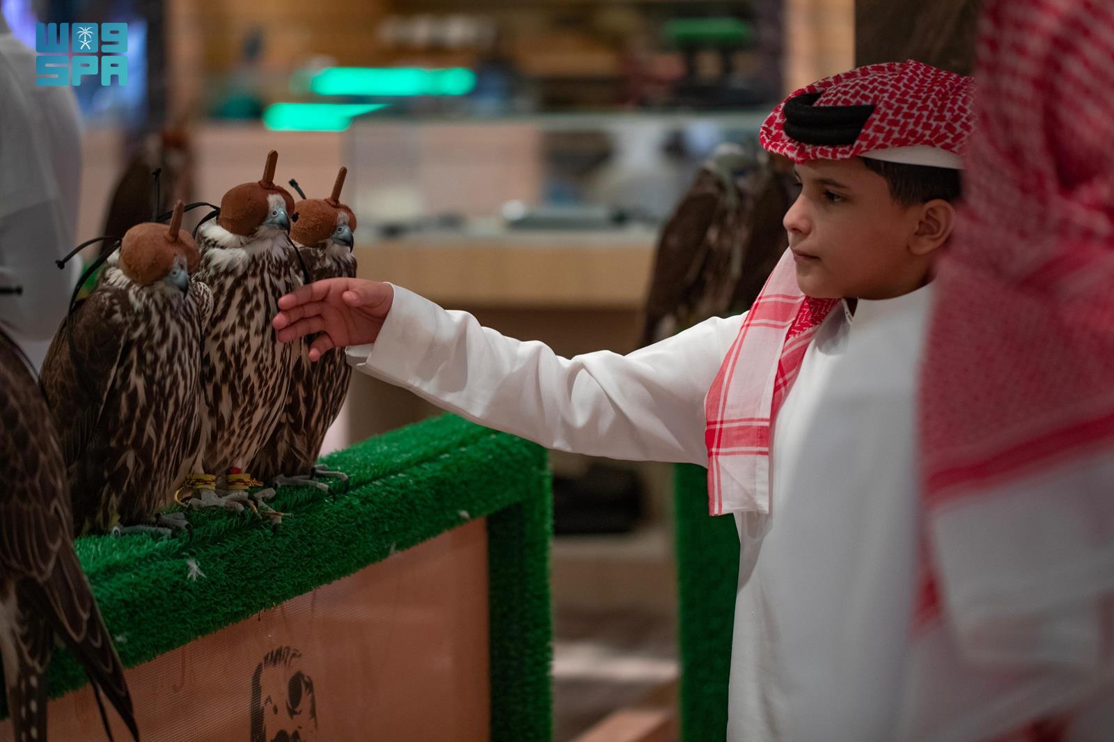 Future Falconers Engage Enthusiastically at International Saudi Falcons ...