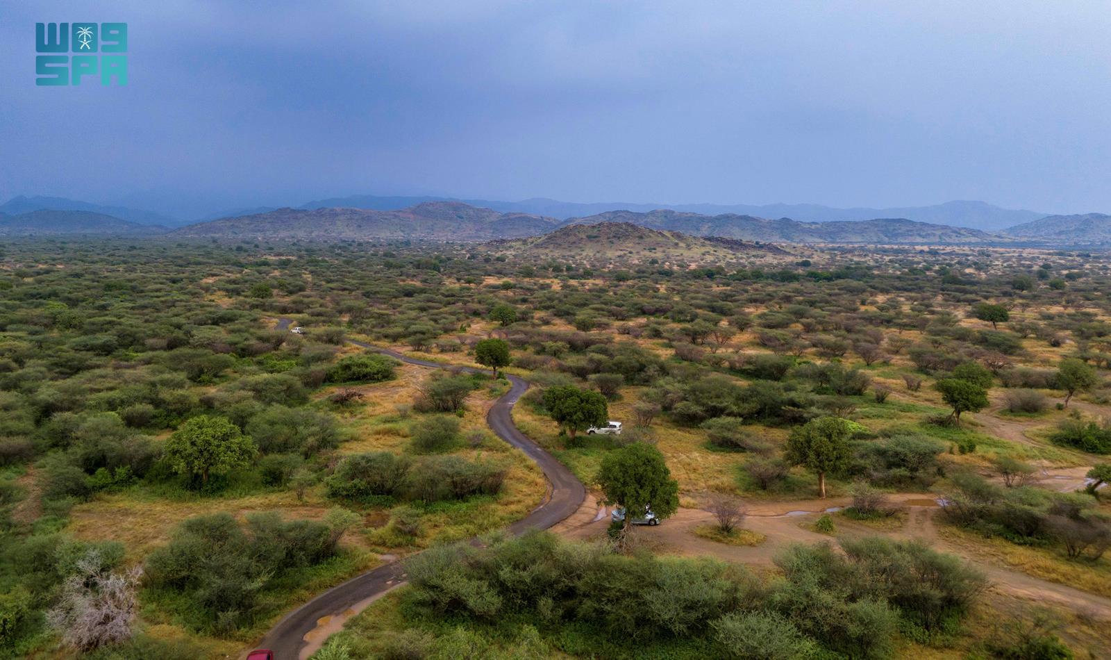 Al-Barari Tourist Park in Harub Governorate, Ideal Destination for ...