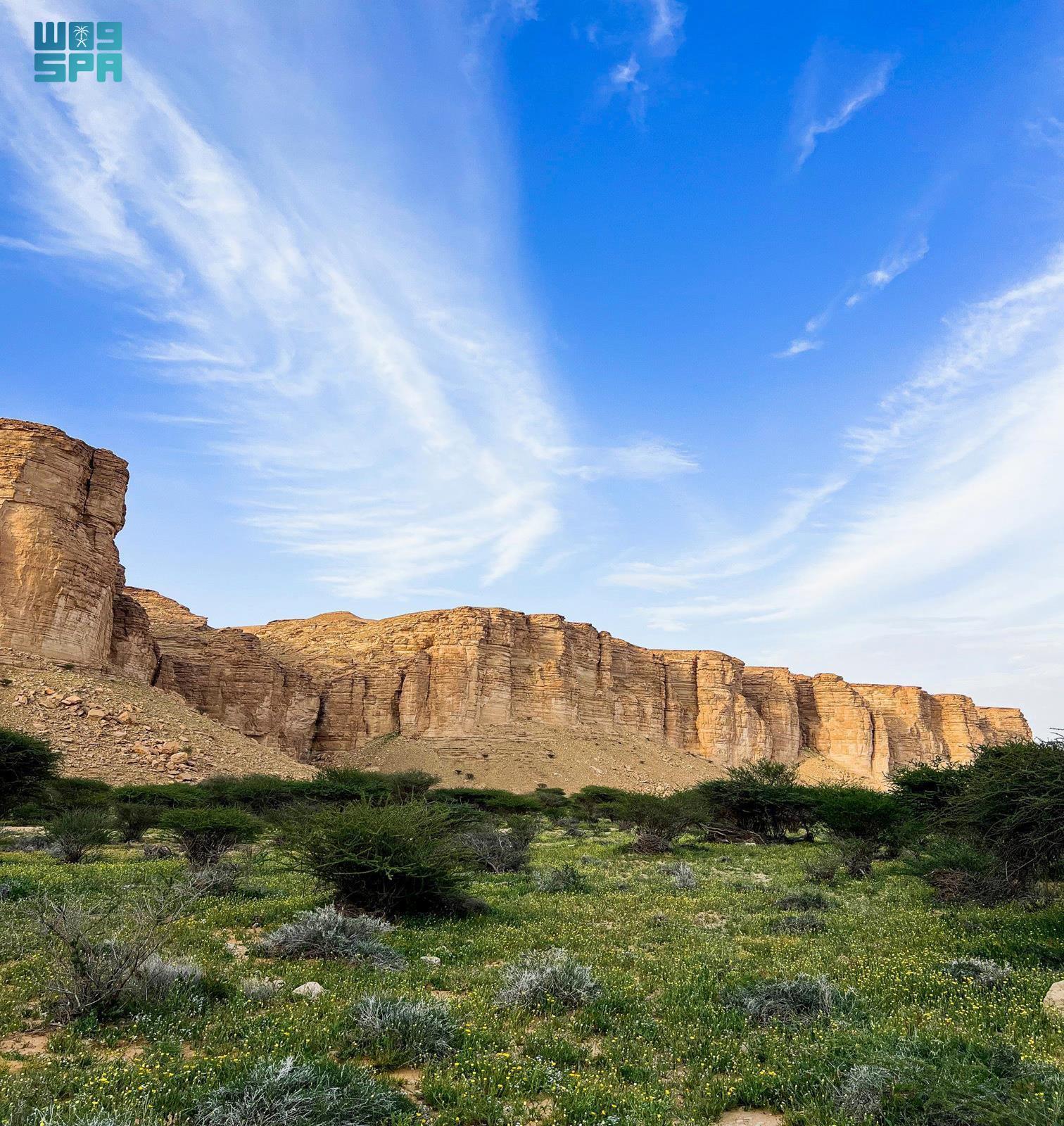 Ibex Protected Area Becomes the First Saudi Site to Meet International ...