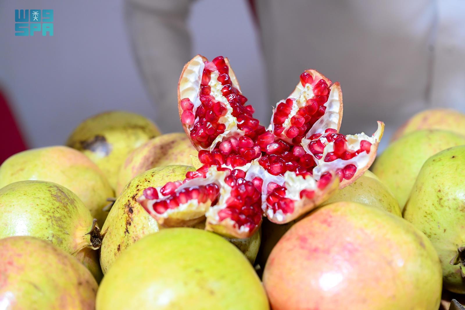 Al-Baha Pomegranates Fuel Economic Growth, Food Security