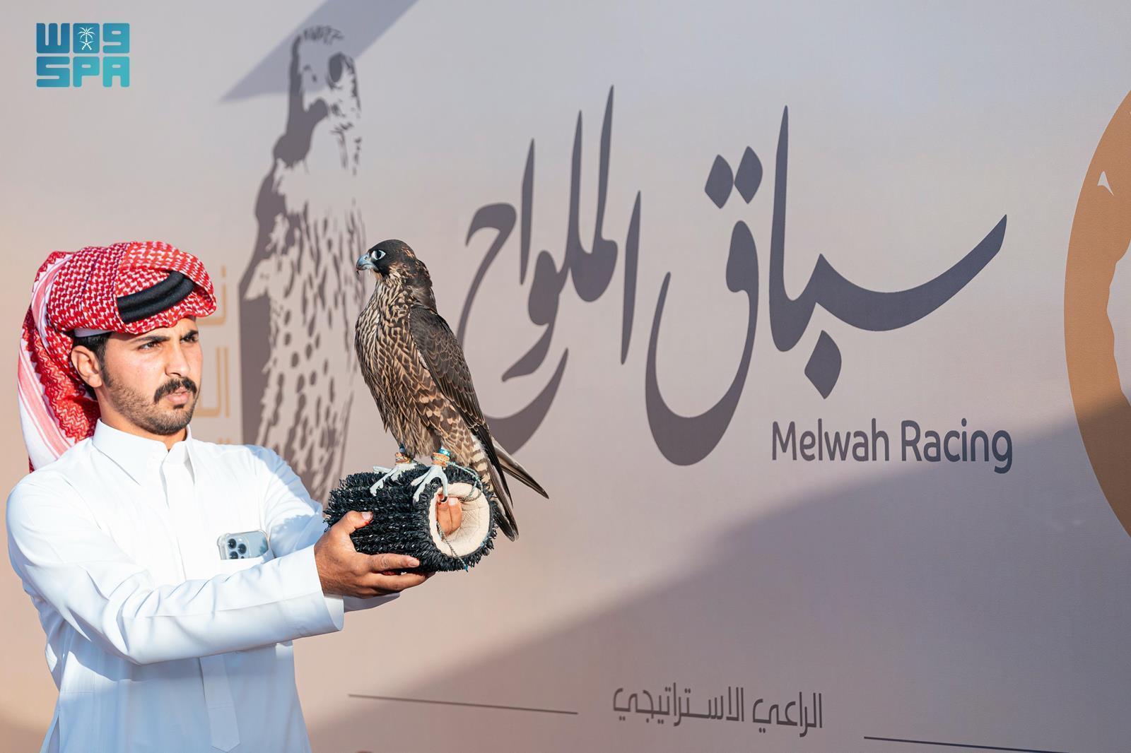 Saudi Falcons Club Launches Melwah Racing