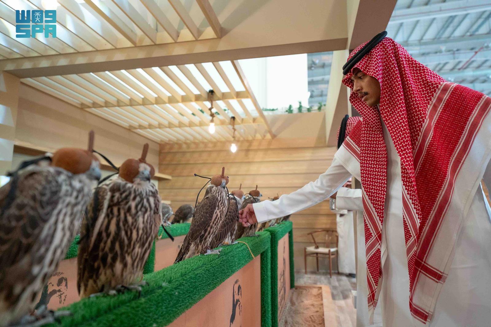 Falcons Take Center Stage at International Saudi Falcons and Hunting ...
