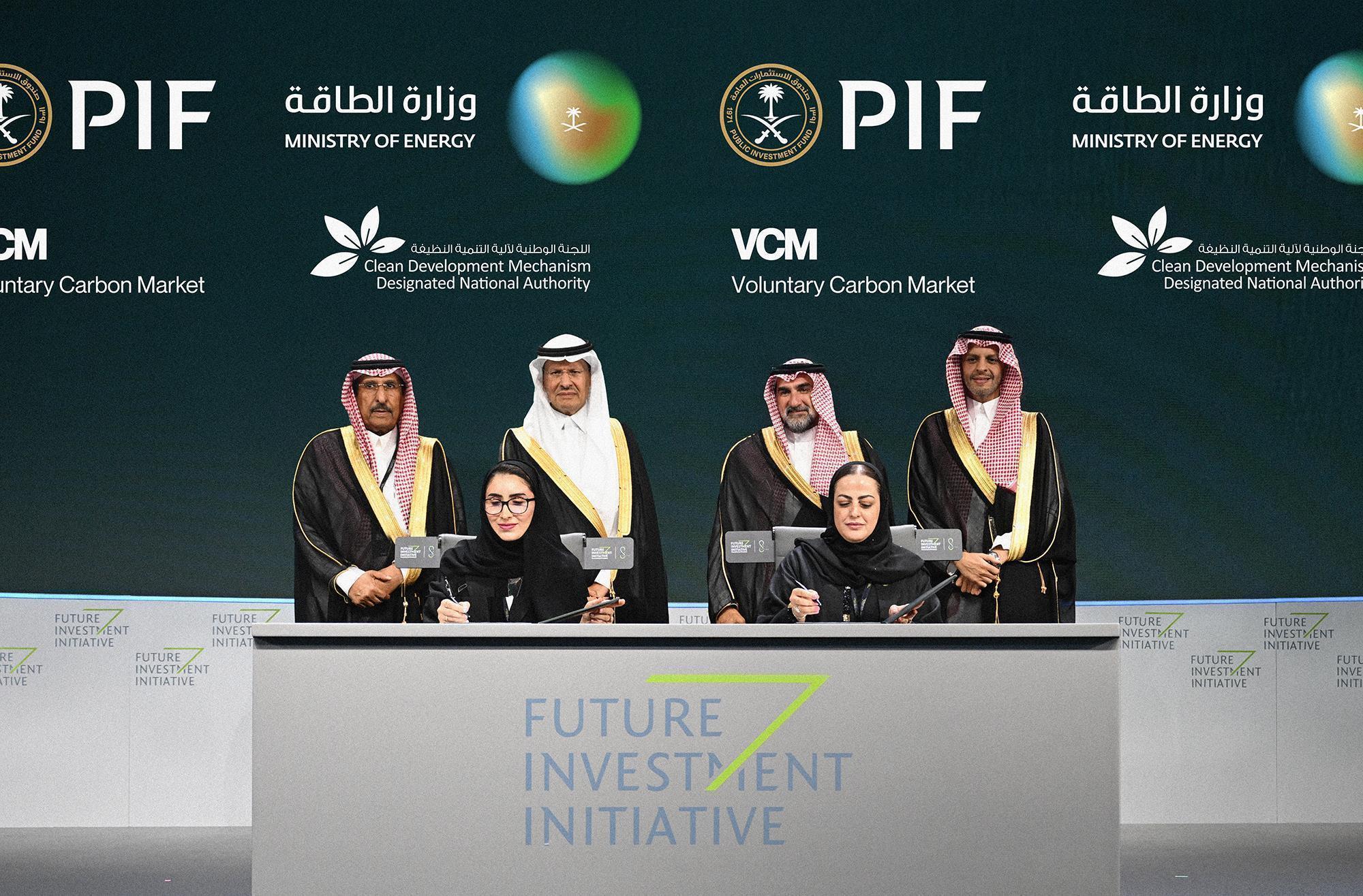 Regional Voluntary Carbon Market Company, Clean Development Mechanism ...