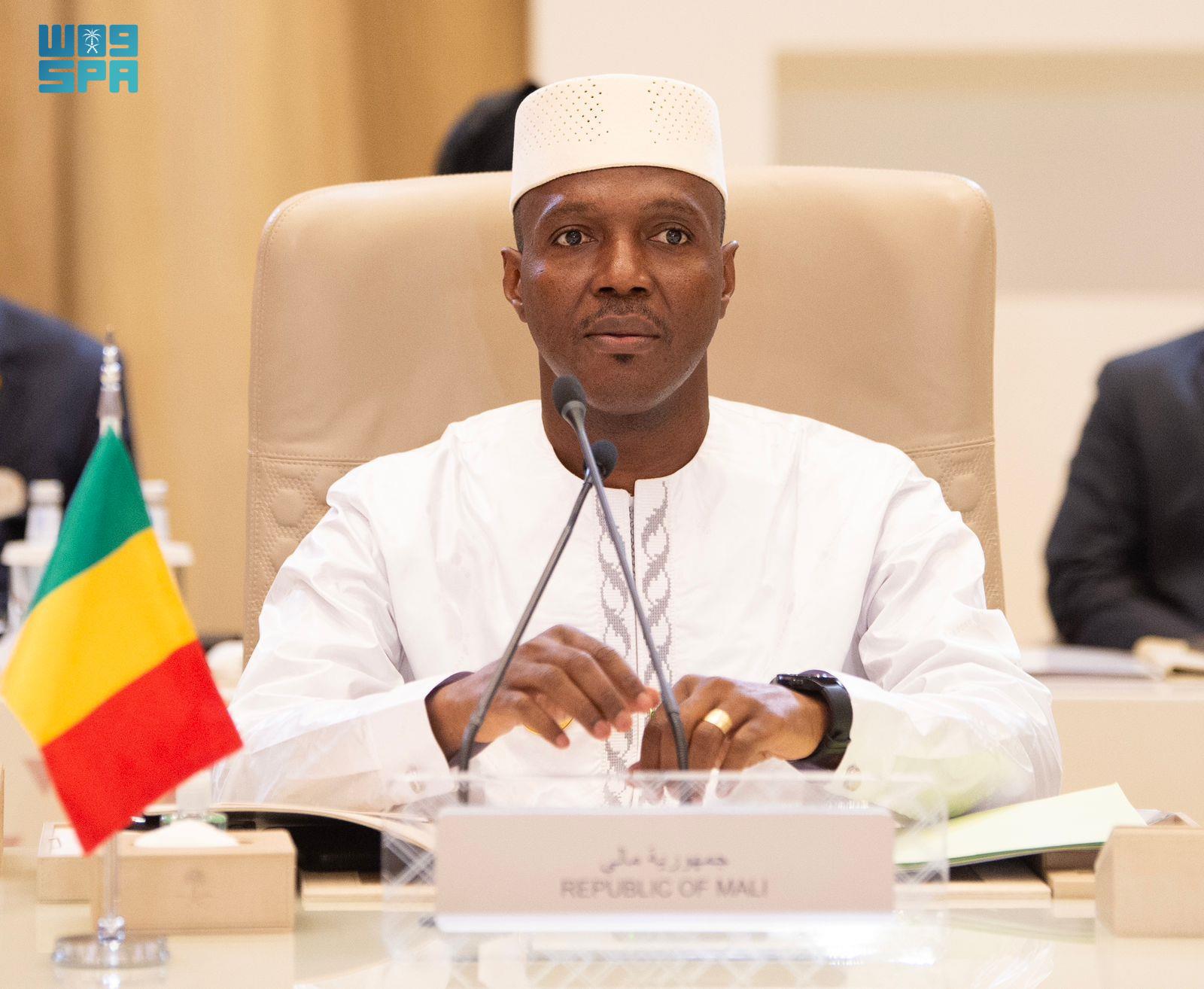 Mali Deputy Prime Minister: Israeli Aggression Against Palestinians ...