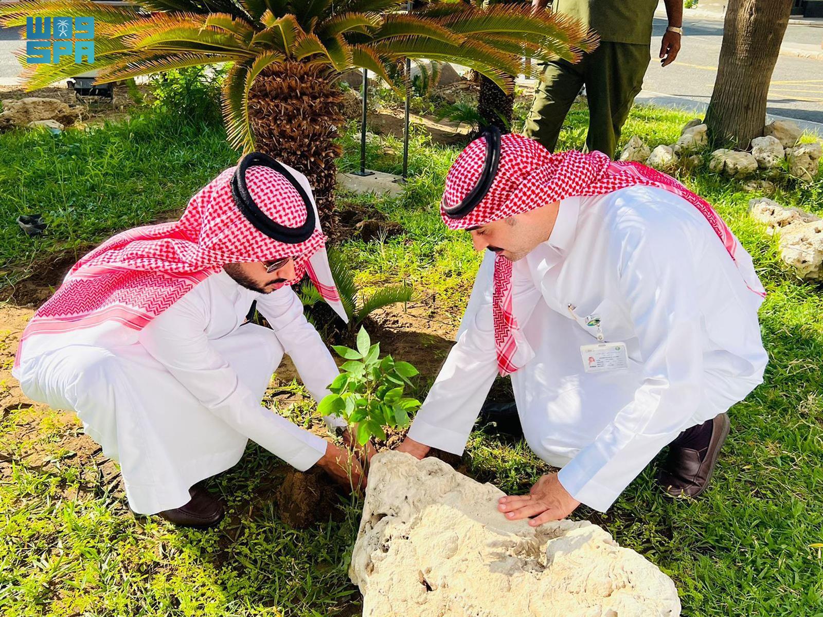 Makkah Region Launches National Greening Season 2024
