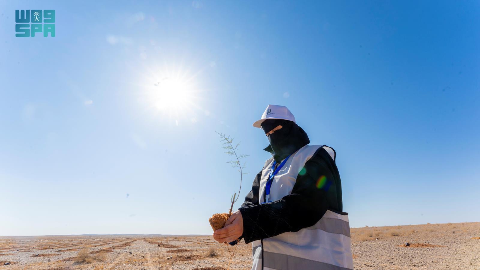 KSRNR Launches Initiative to Plant 100,000 Trees with Volunteer ...