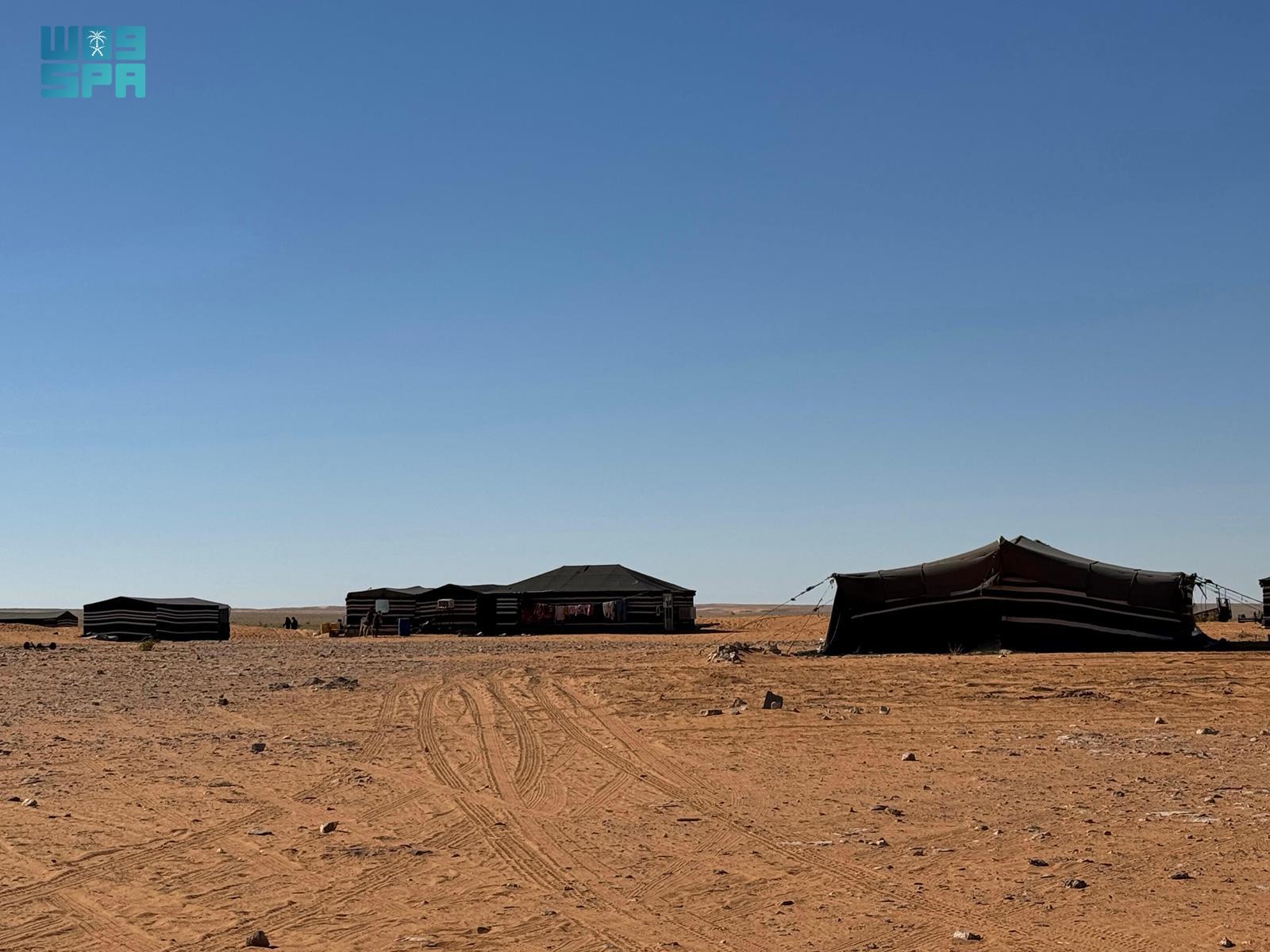 Bedouin Tents: A Timeless Symbol of Saudi Heritage